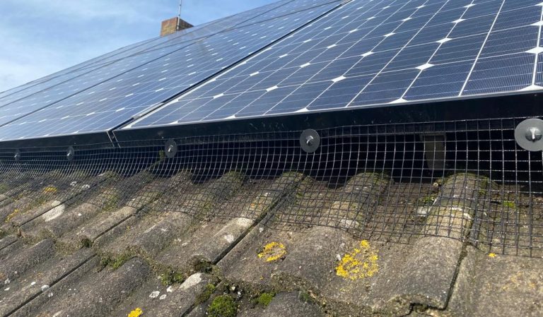 Pigeon Proofing Solar Panels Cambridge: PPSP