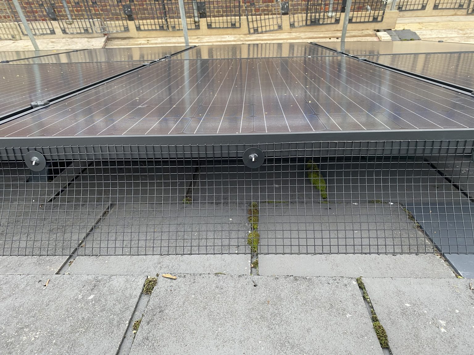 5* Bird Control UK | Bird Proofing | Bird Pest Control Services: PPSP