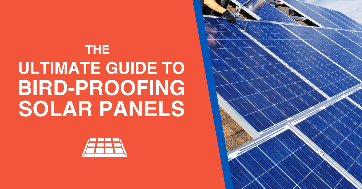Ultimate Guide to Bird-Proofing Solar Panels | Bird Protection